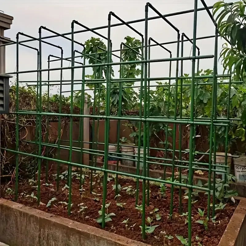 Garden Plant Climbing Trellis Support Frame — Off The Back