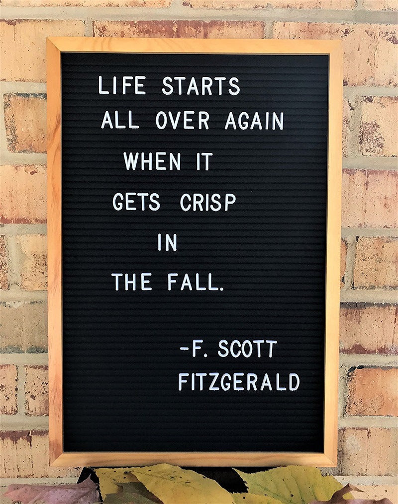 Large Black Felt Letter Board with Oak Frame and 370 Letters — Off The Back