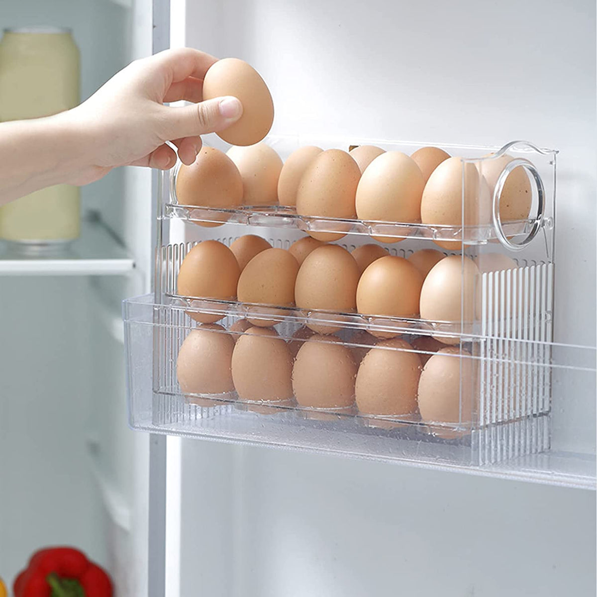 Refrigerator 30 Egg Holder — Off The Back