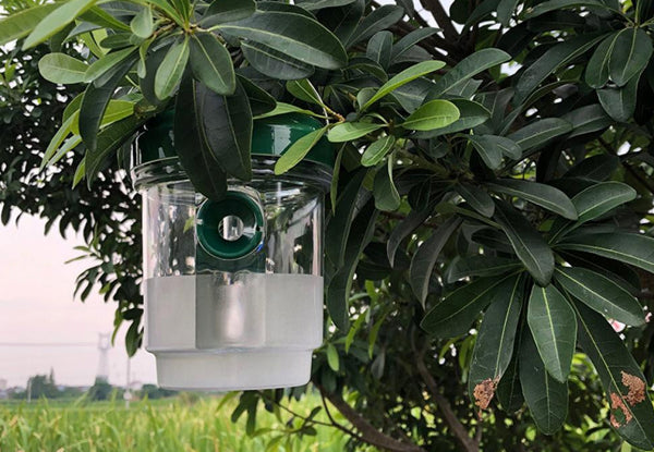 Reusable Solar Powered Wasp Trap — Off The Back